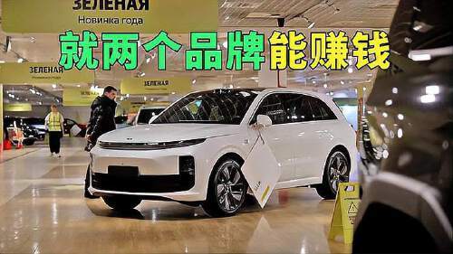 俄巨头曝汽车界唯一真理:全球仅两品牌永不亏钱!
