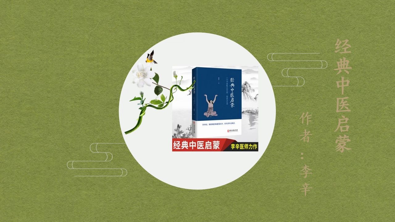 经典中医第一章 精、气、形、神:中医眼中的人体 无形的生命力(1)