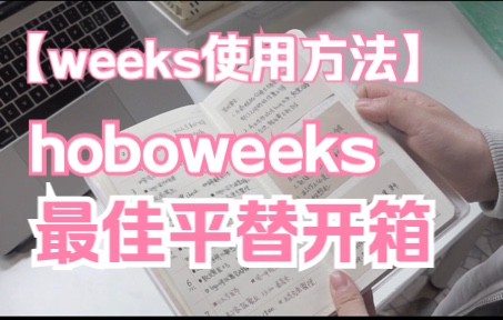 hoboweeks最佳平替!附超详细weeks使用方法分享