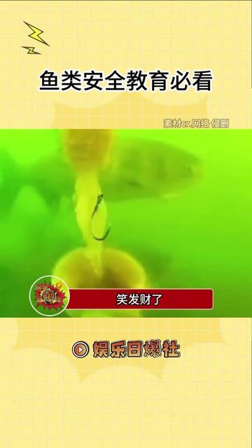还有哪只鱼没看这个安全教育视频,马上把这个视频投放全鱼群