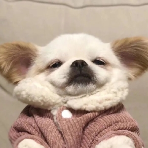 怎么又被监控了 