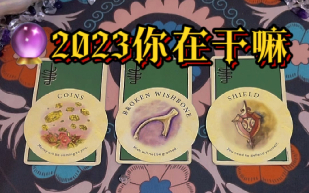 满月塔罗|2023年你在干嘛?