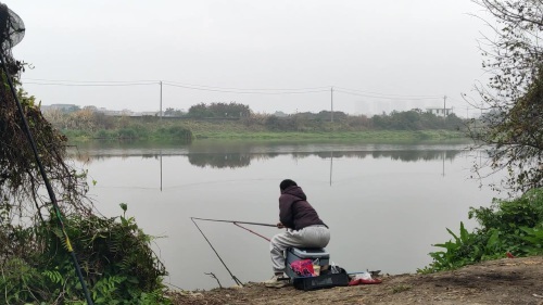 钓鱼佬伤心了,痛失一条大鱼!