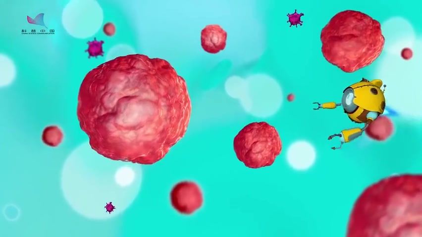 给孩子看看,科普下病毒与细菌