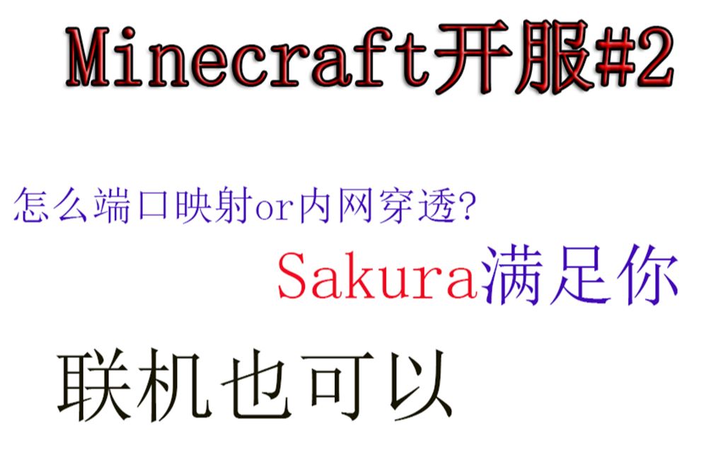 【小排】Minecraft开服#2 怎么端口映射or内网穿透?Sakura满足你,我的...