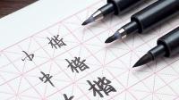 ...秀丽笔软头书法软笔软尖硬笔签名大中楷钢笔式科学仿毛笔学生用...