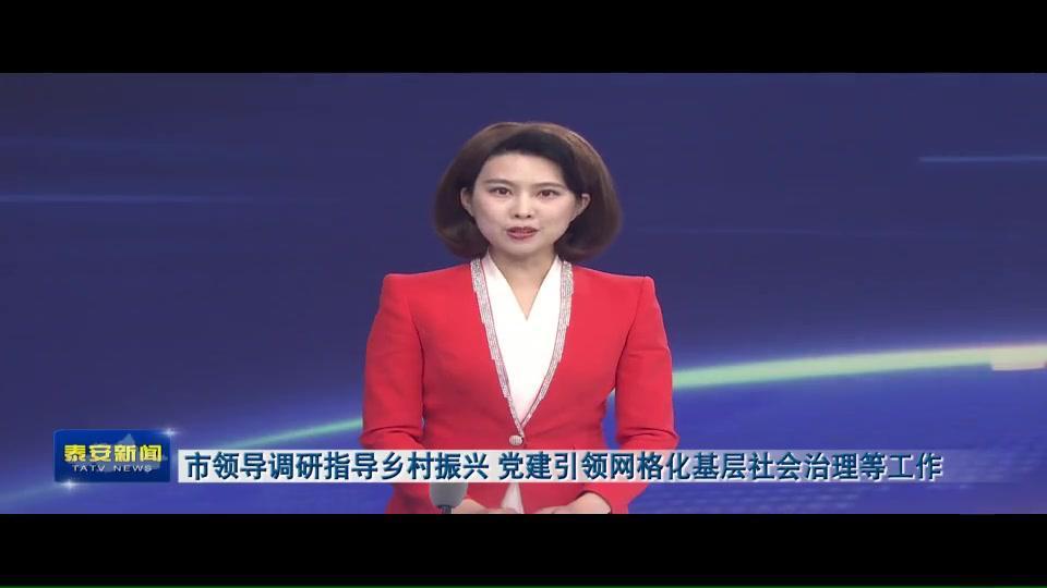 .b>乡村振兴党建引领网格化基层社会治理等工作