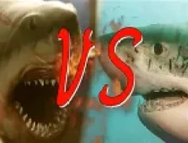 巨齿鲨VS大白鲨,巨齿鲨:你都不够我塞牙缝的!