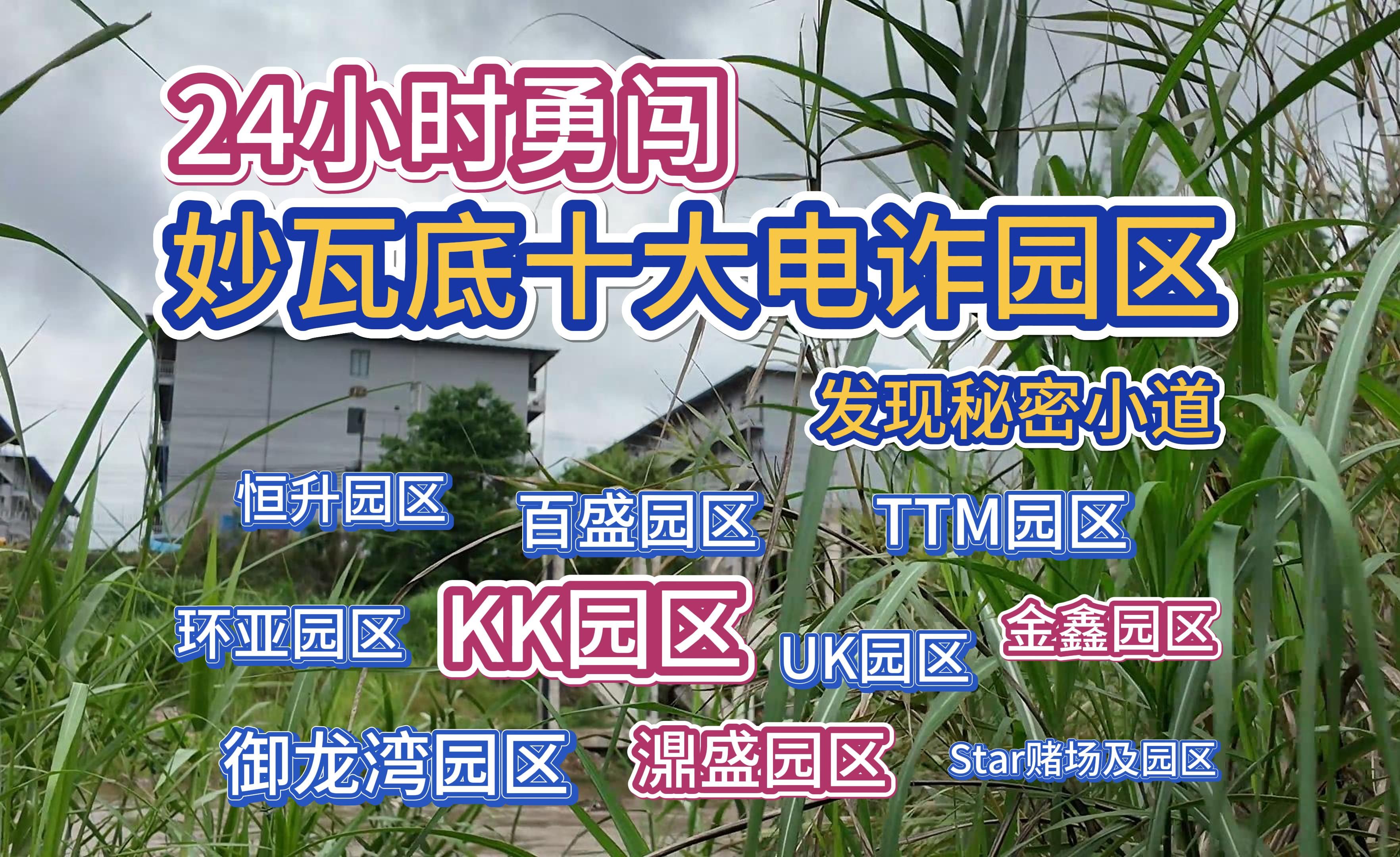 【泰缅边境妙瓦底 7】冒死实拍!24小时勇闯妙瓦底10大电诈园区 |演员...