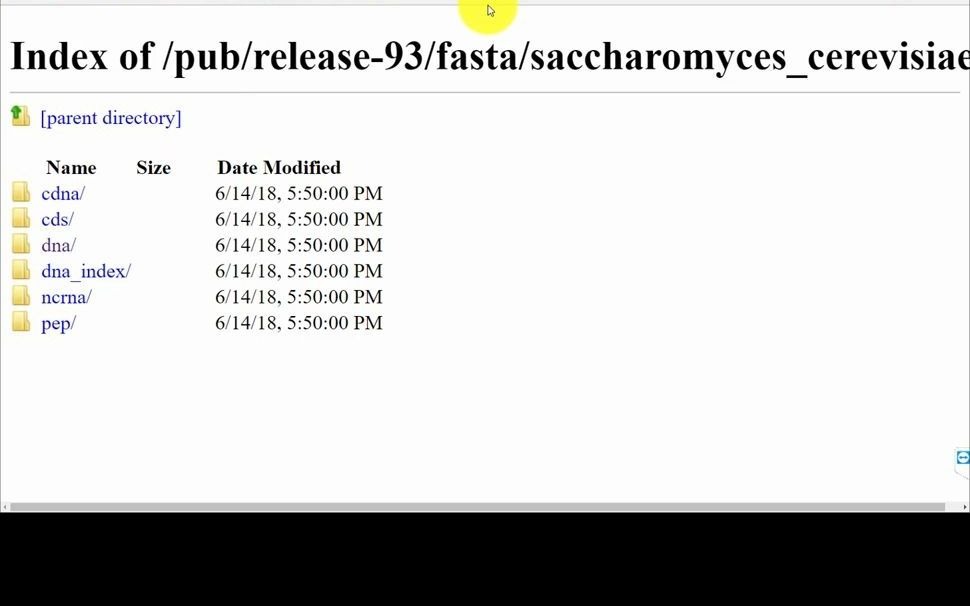教我老弟学生信第4天 酵母RNA seq数据