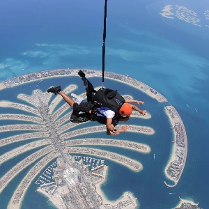 魔都伏特加看房日记 