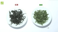 不懂别瞎喝, 一文搞懂红茶和绿茶的区别
