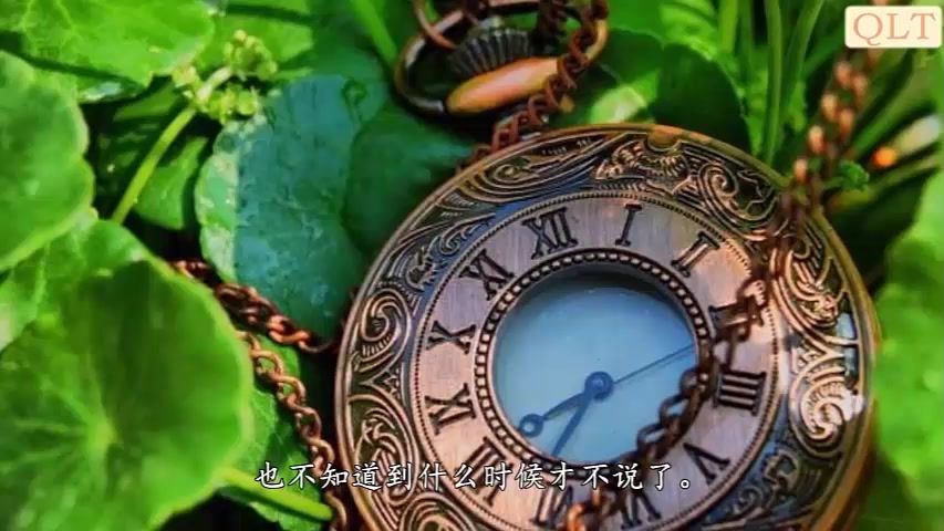 编版六下《表里的生物》课文朗读