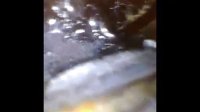 进气门