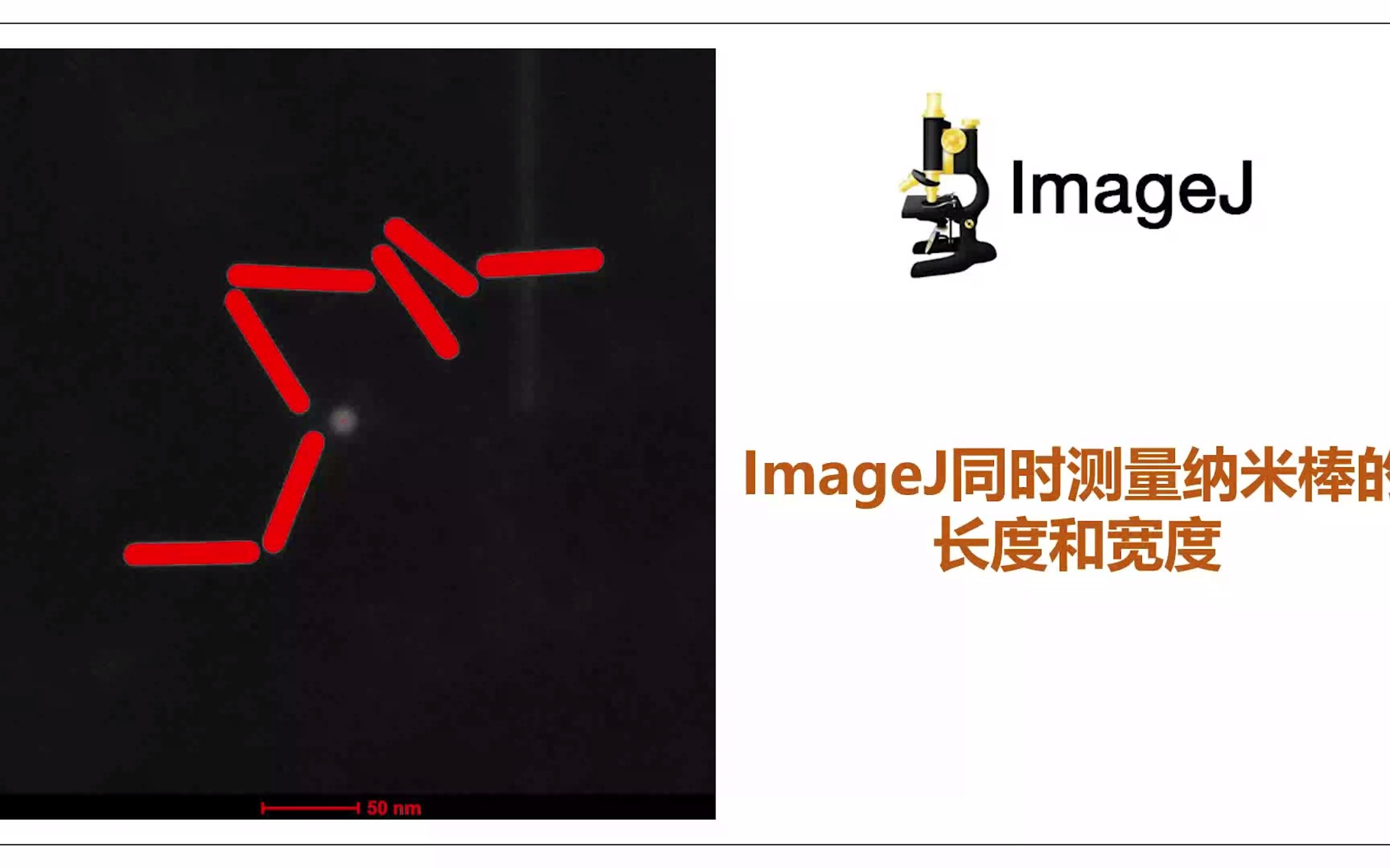 (5分钟)ImageJ同时测量纳米棒的长度和宽度(带讲解版)