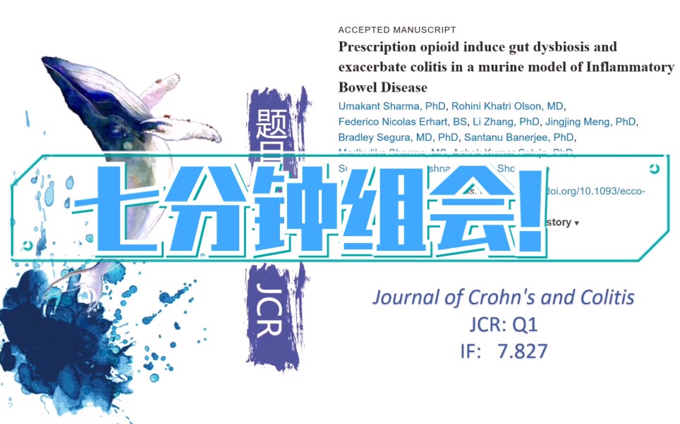 【医学生文献汇报|第1期】医学生|氢化吗啡酮加重小鼠结肠炎～