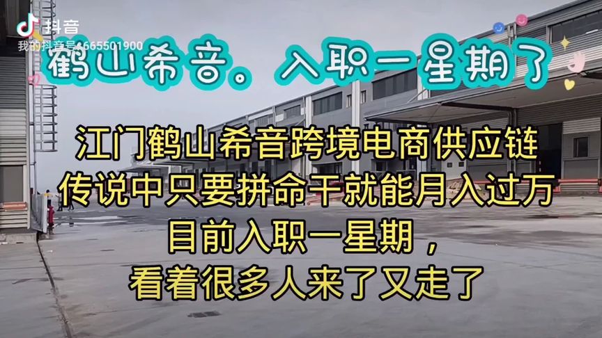 入职江门鹤山希音跨境电商供应链,一星期了。