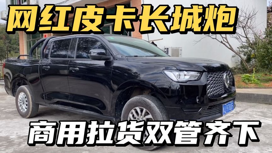 网红长城炮!载货载人双管齐下!小伙直呼良心皮卡车