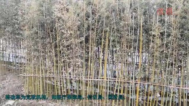 2019社保改革期待新政策,事业单位改革原参公或事业人员如何调整