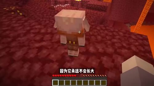6个老mc才知道的细节,凋灵能穿过下界传送门吗?
