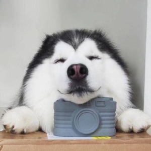 冬水流萤 