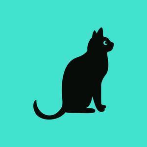 黑猫探电影