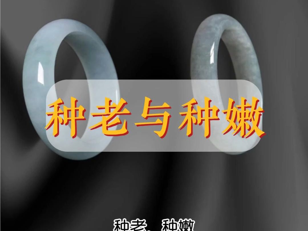 十年经验,熬夜总结,什么是翡翠种嫩与种老?