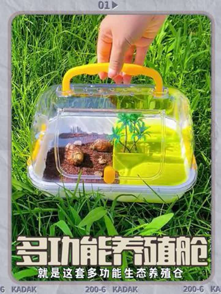 ...孩子准备的多功能生态舱终于到啦,可以满足寄居蟹,螃蟹,乌龟,蜗牛,蚕...