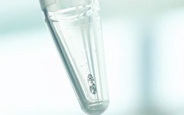 快速实验指南-洗脱 SPRI 磁珠的恰当时间