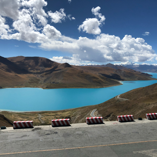 老鸭云旅游 