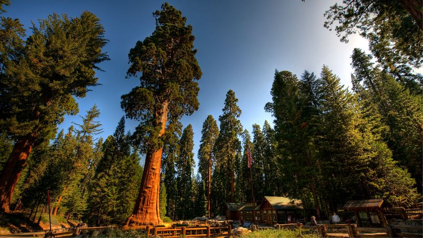 人生道路上,对目标的追求要高就,但实现目标的心态要低就。