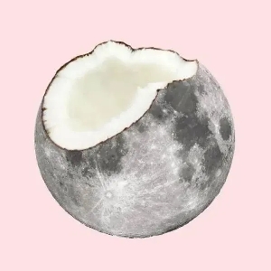 畏缩的葵 