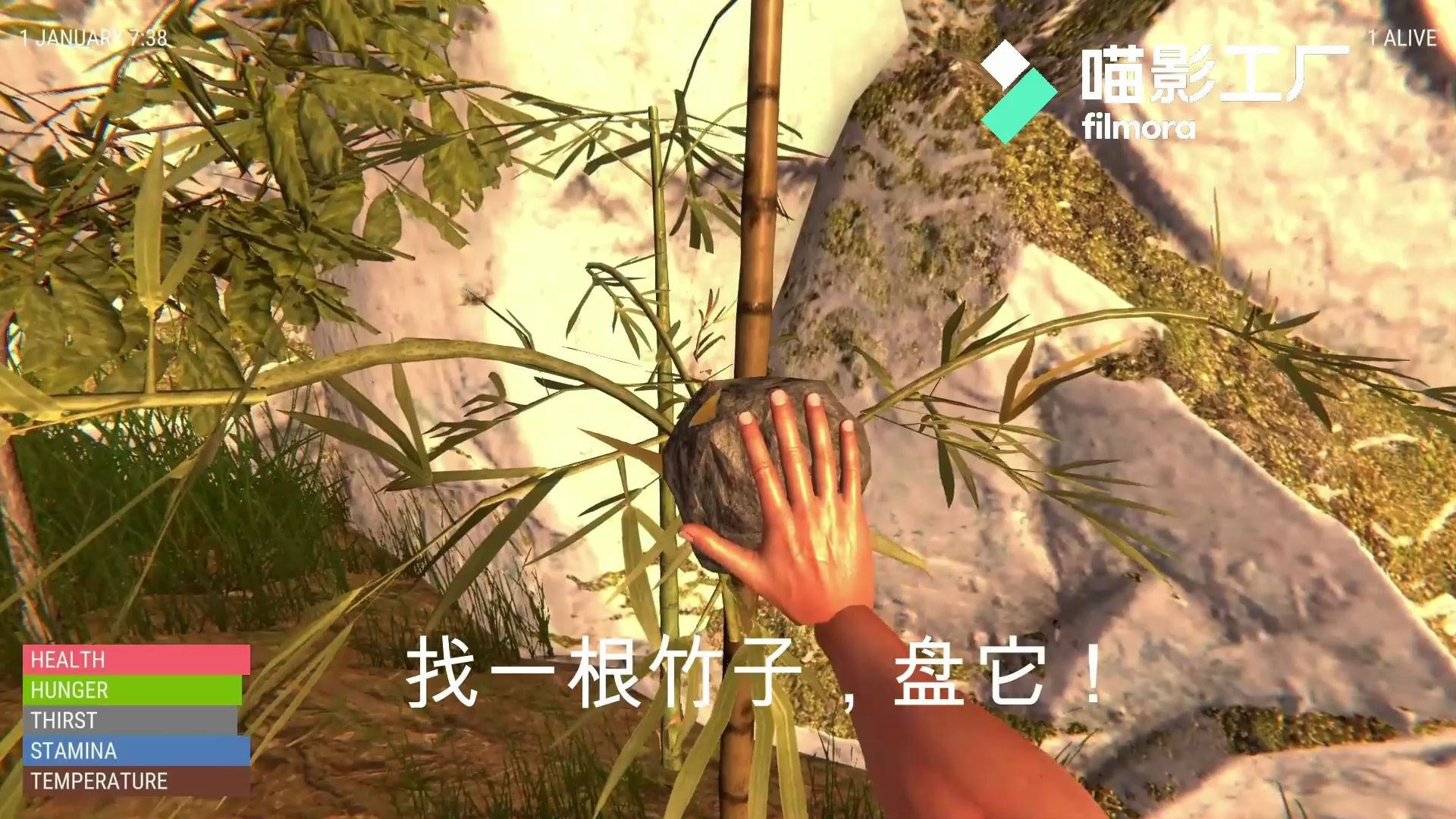 手部模拟器:生存版 小白教你如何安全度过第一个晚上