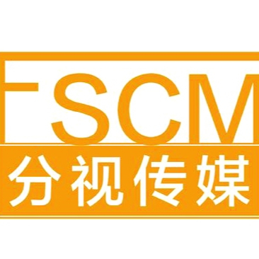 广东分视传媒 