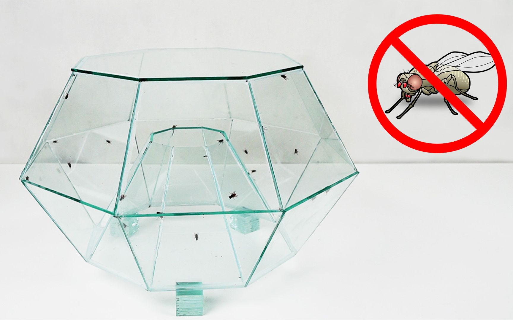 【手工制作】如何用玻璃制作捕蝇器,看效果吧