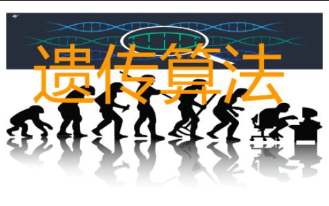 【遗传算法】1-从生物进化过程认识遗传算法