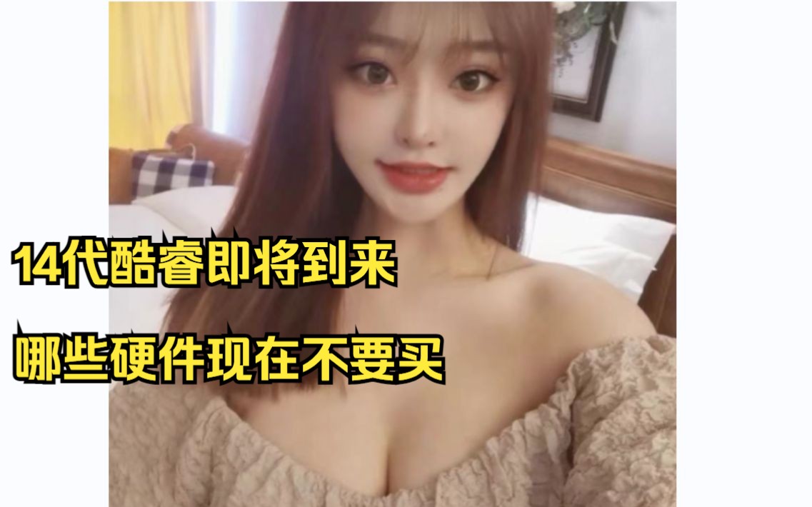 14代酷睿即将上市 提醒各位即将换代的时候 有哪些硬件不要买!