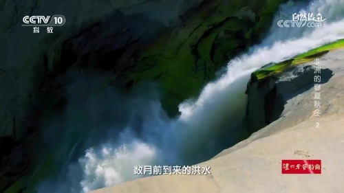 动物世界:数月前来到的洪水为动物们提供了食物,让动物们都能吃到...