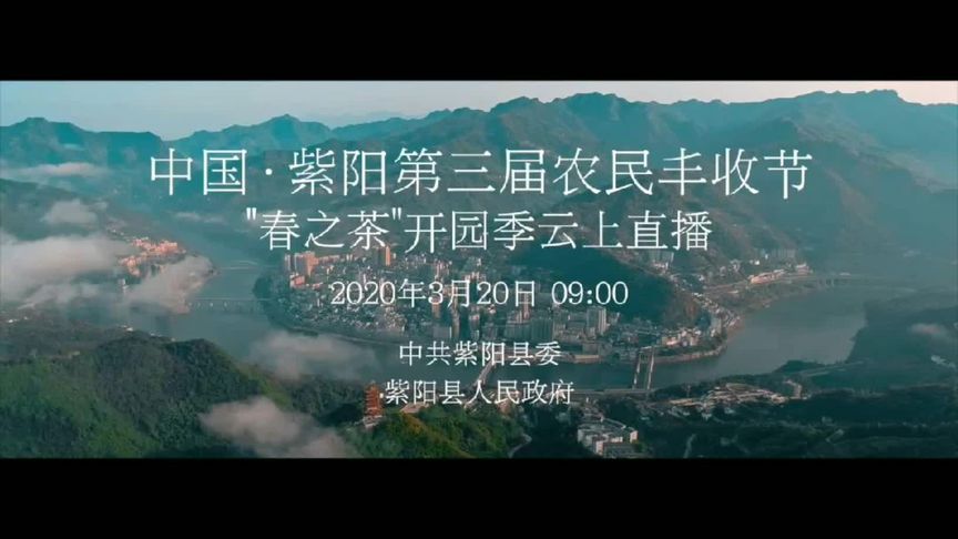 #富硒茶寻茶记 来一城品一茶,缘分三生三世