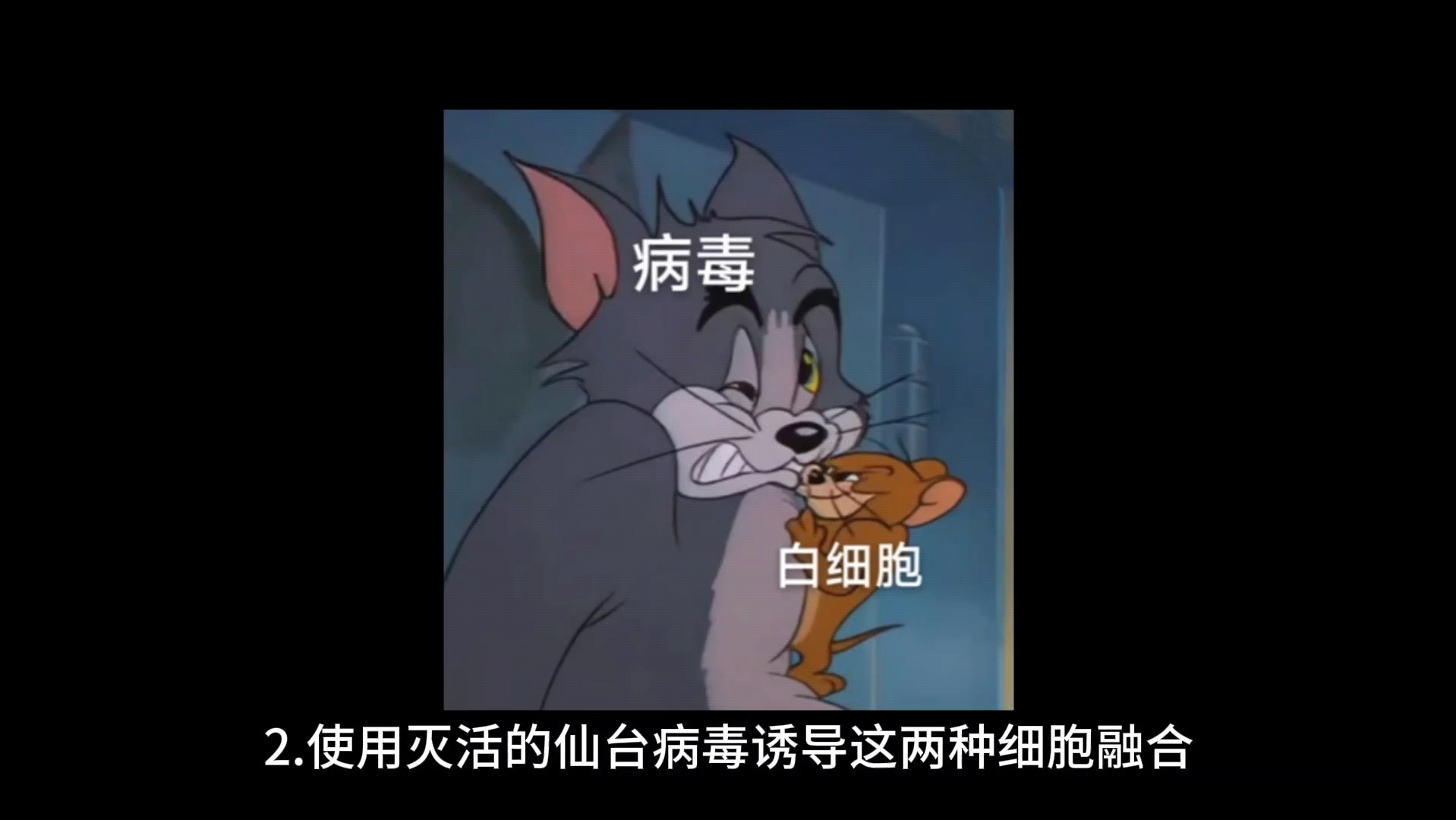 细胞膜流动性实验:低成本高收益,掌握细胞秘密就靠这个视频!