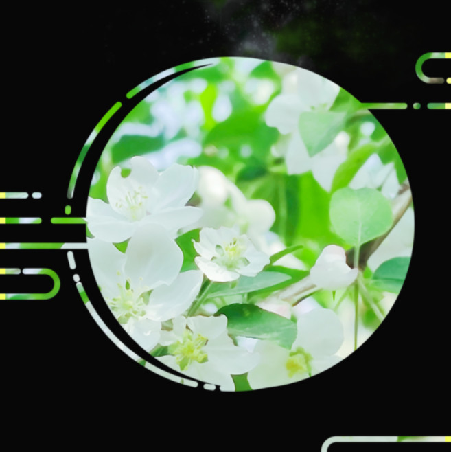 单隐木林 
