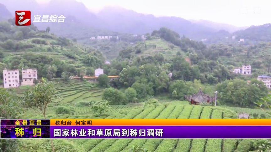 国家林业和草原局到秭归调研