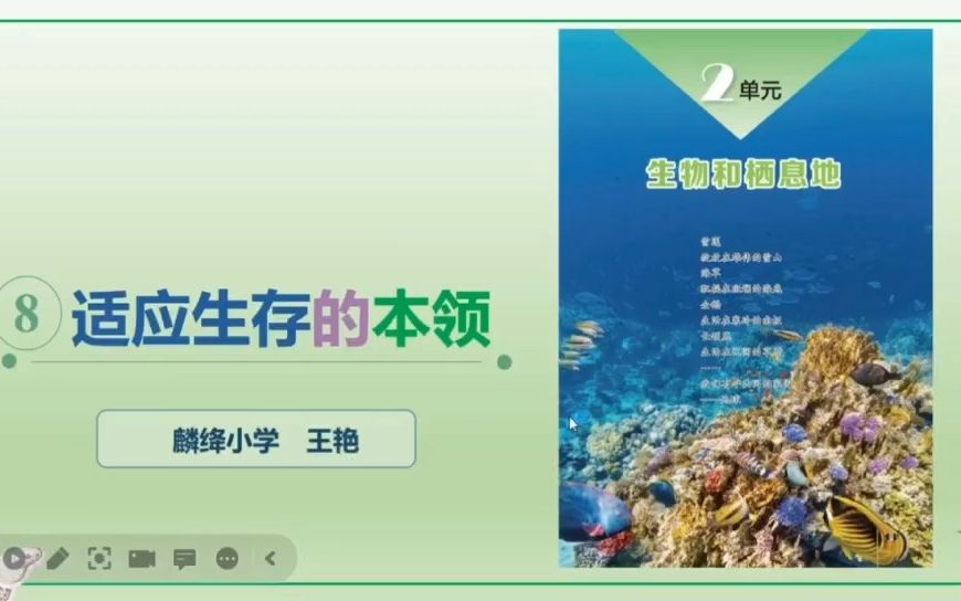 六年级科学《适应生存的本领》麟绛小学 王艳