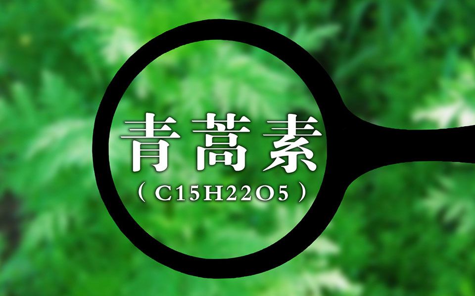 屠呦呦团队放大招,青蒿素发现的背后有什么故事