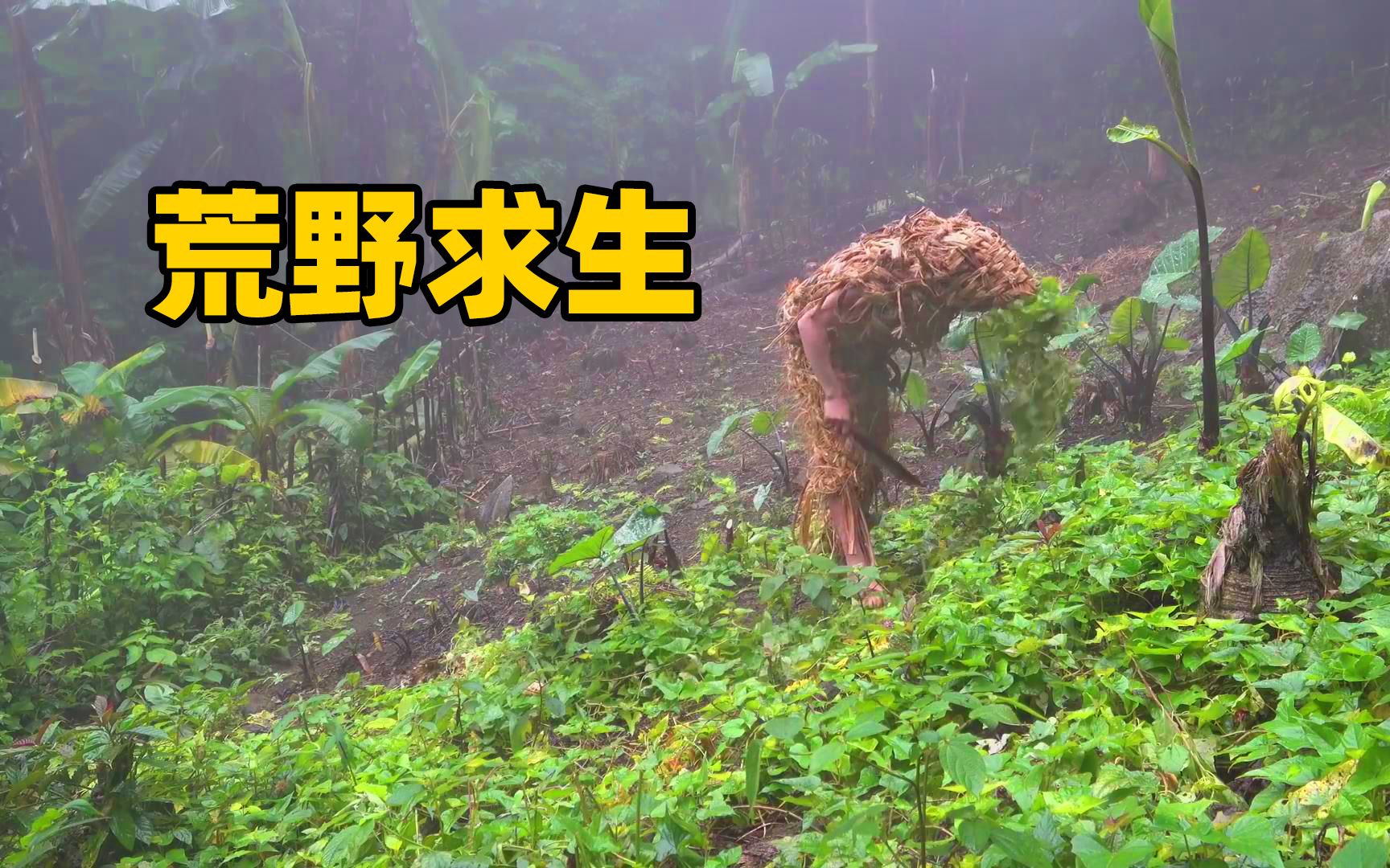 越南热带雨林荒野求生,丛林生存挑战,独自一人在荒野!
