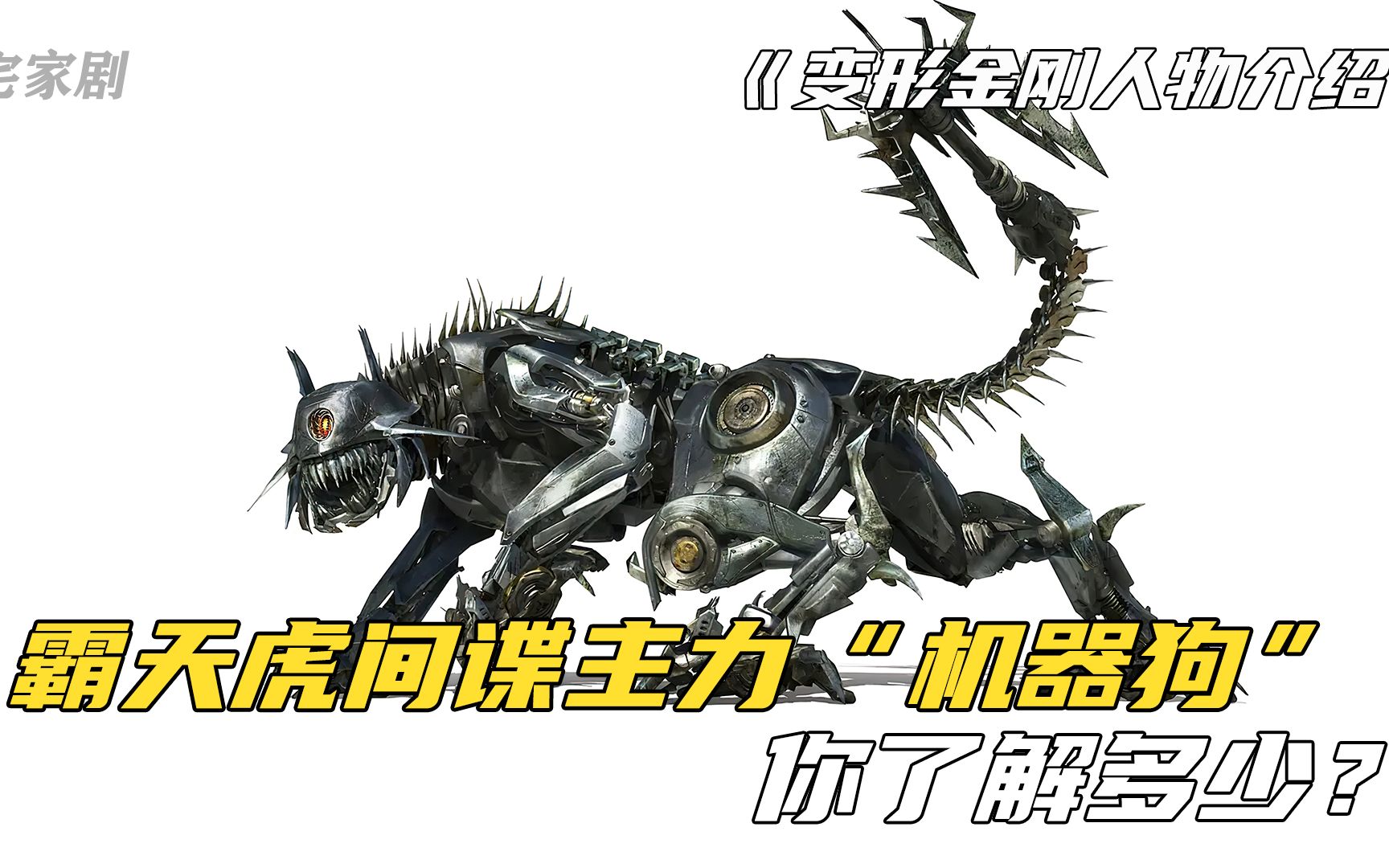 变形金刚人物介绍之机器狗:霸天虎间谍部队主力之一!