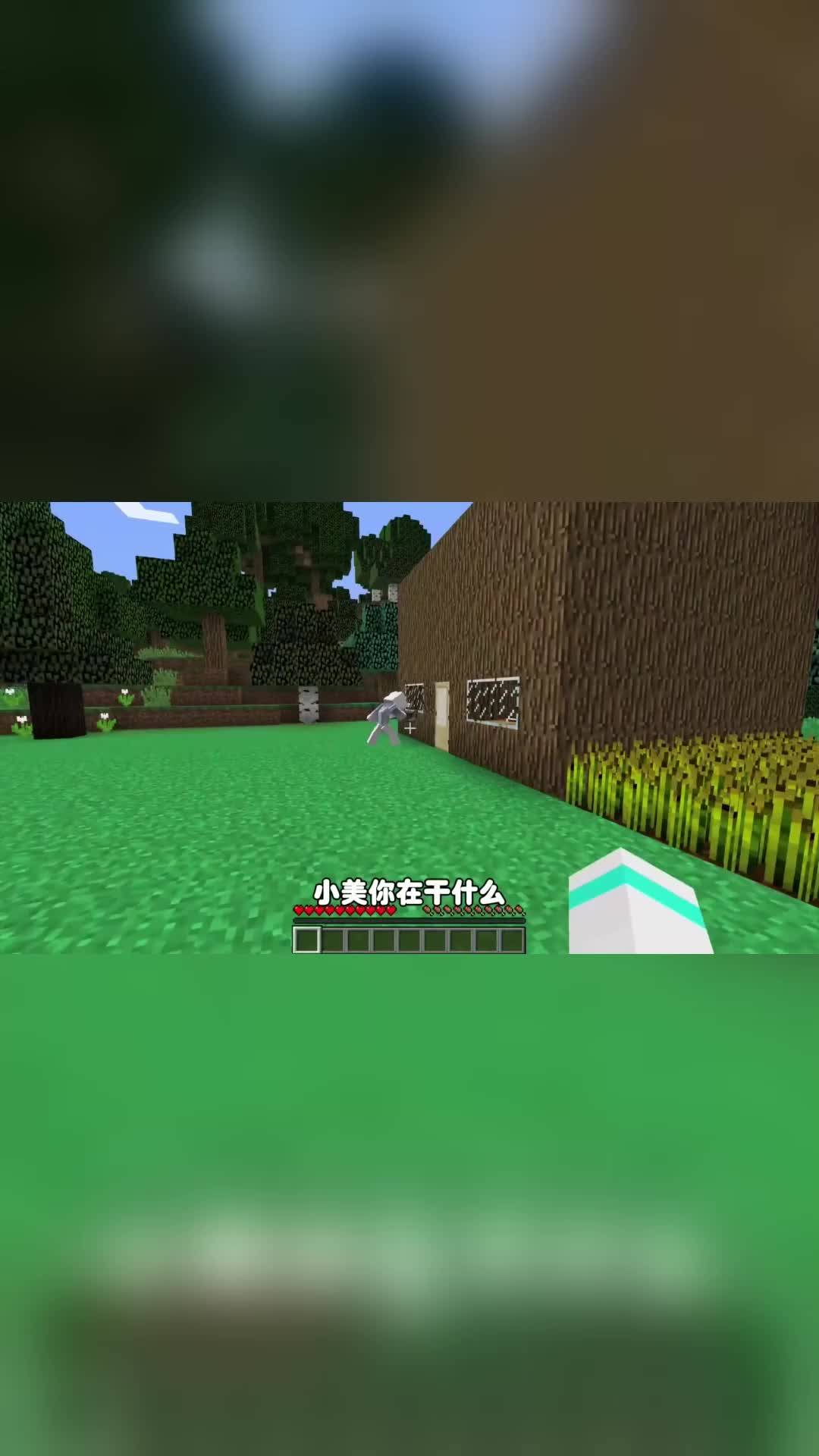 我的世界:曾经的我们很快乐,但现在我们已经不是一路人了……