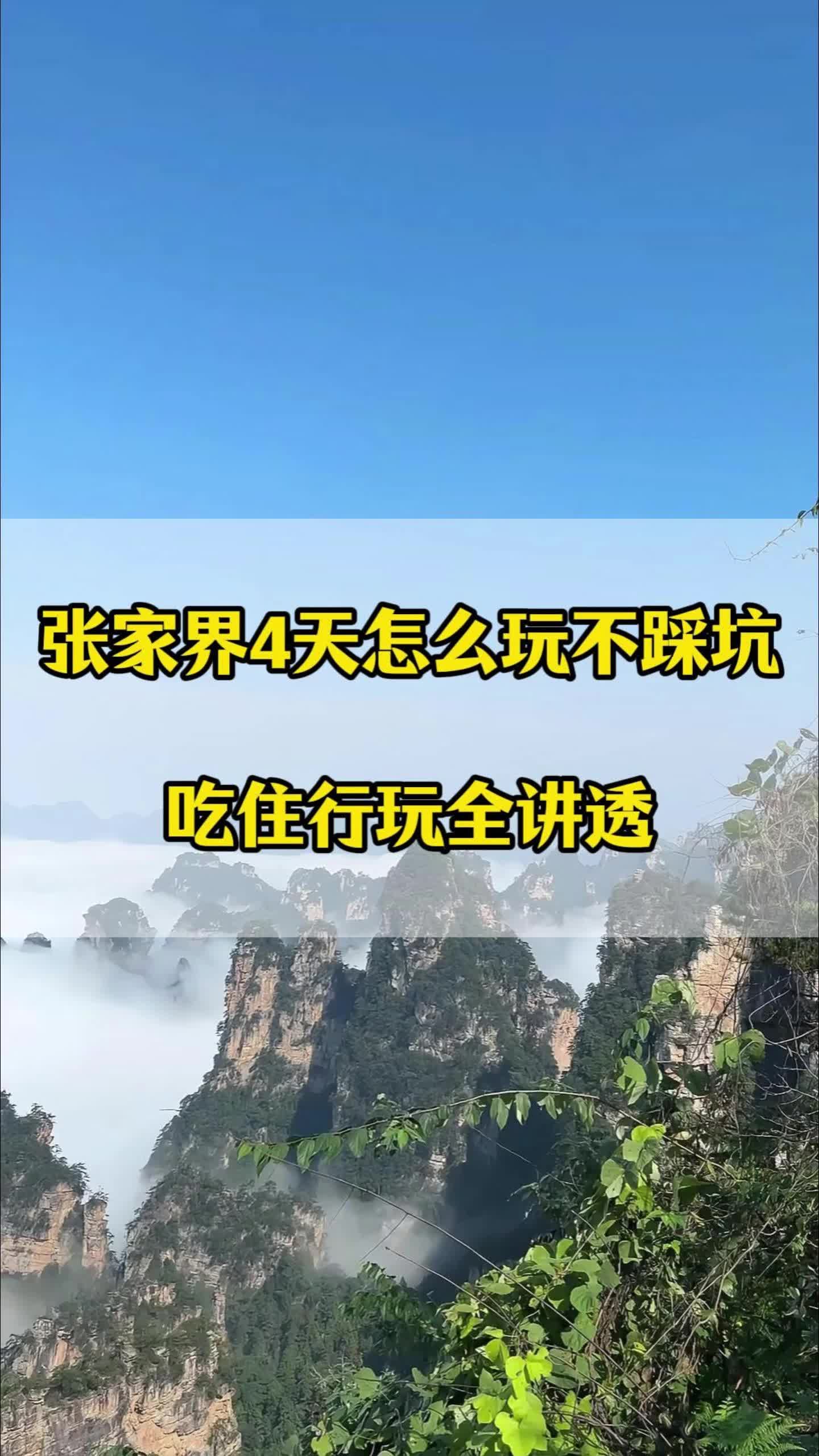 全网都在告诉你再忙也要去趟张家界,却没人告诉你该玩哪些景点,花...
