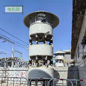 雪林仙 