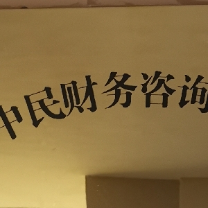 中民财务咨询 